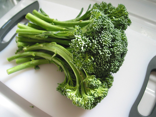 Issue with OWLv2's image-guided-detection mode. · Issue #487 · NielsRogge/Transformers-Tutorials ...